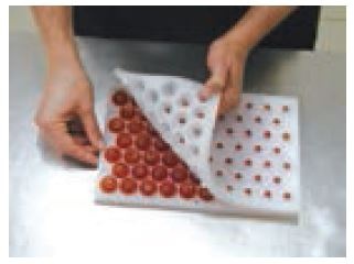 Pavoni LS05 Pavoni Chocoflex Ganache Mold Sphere - LS05