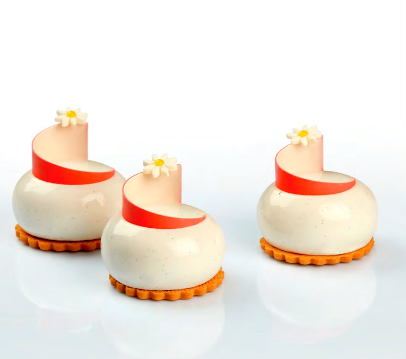 Pavoni PX4321 Pavoflex Professional Silicone Mold - PLANET - ø 66 x...