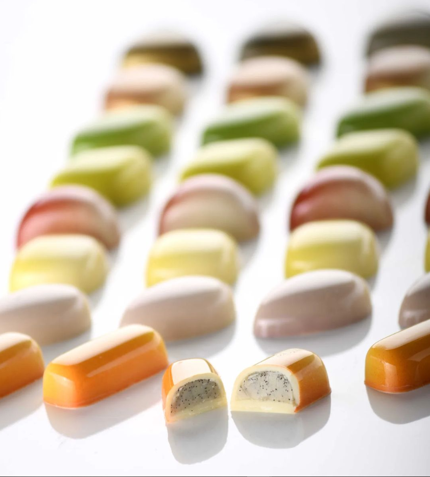 Pavoni PC5046 Pavoni Polycarbonate Chocolate Mold - Davide Comaschi...