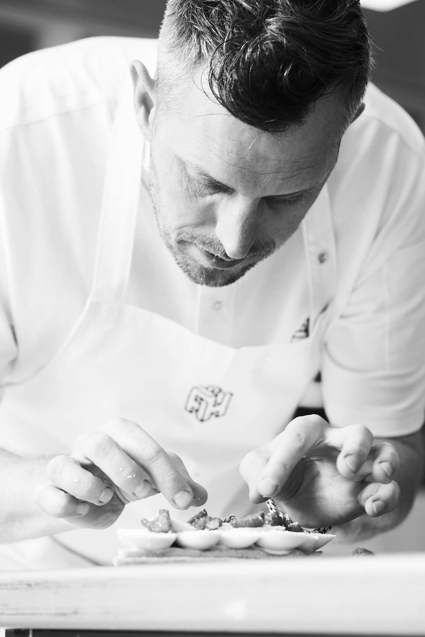 Frank Haasnoot Whip by Frank HAASNOOT - Hardcover - English Language