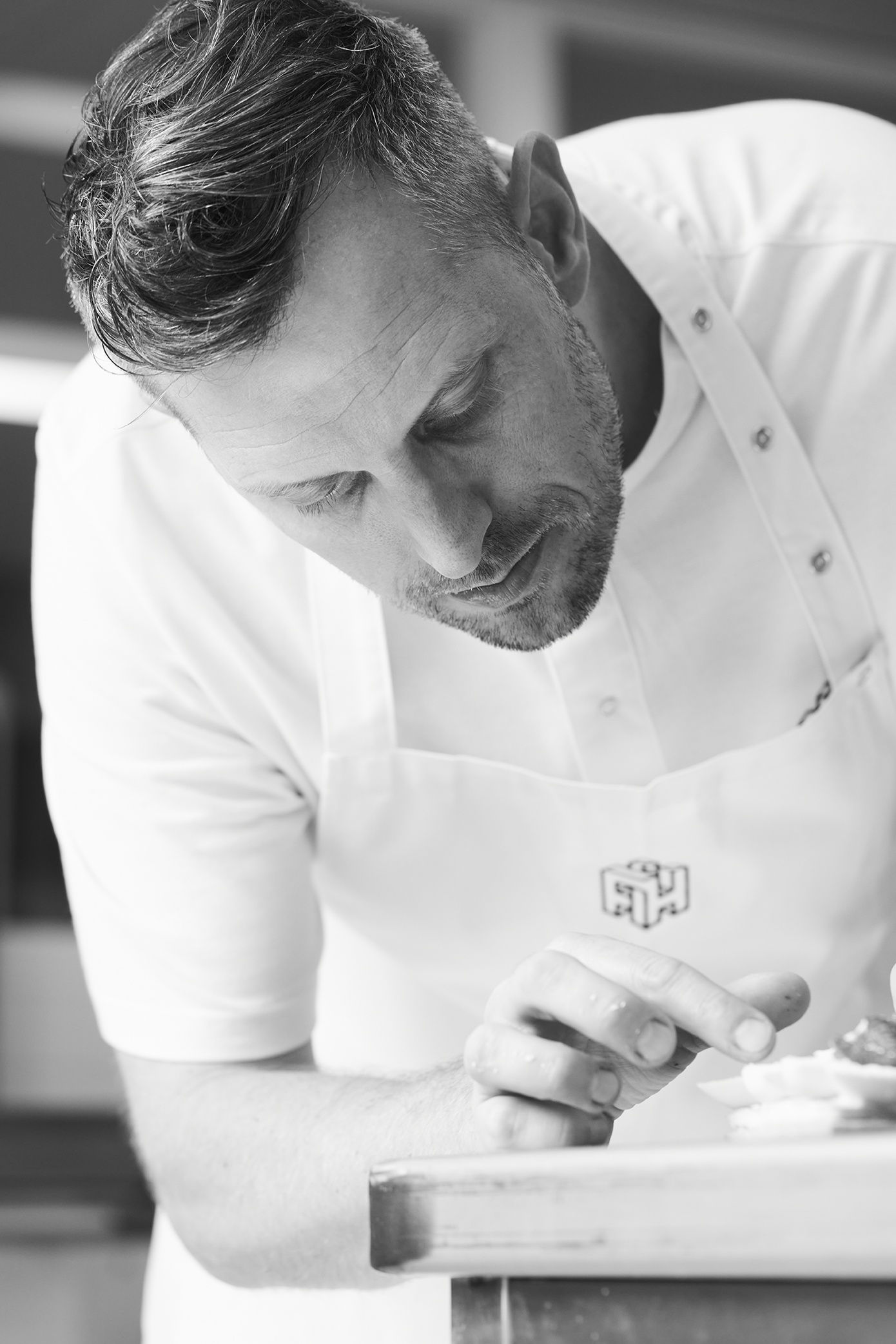 Frank Haasnoot Whip by Frank HAASNOOT - Hardcover - English Language