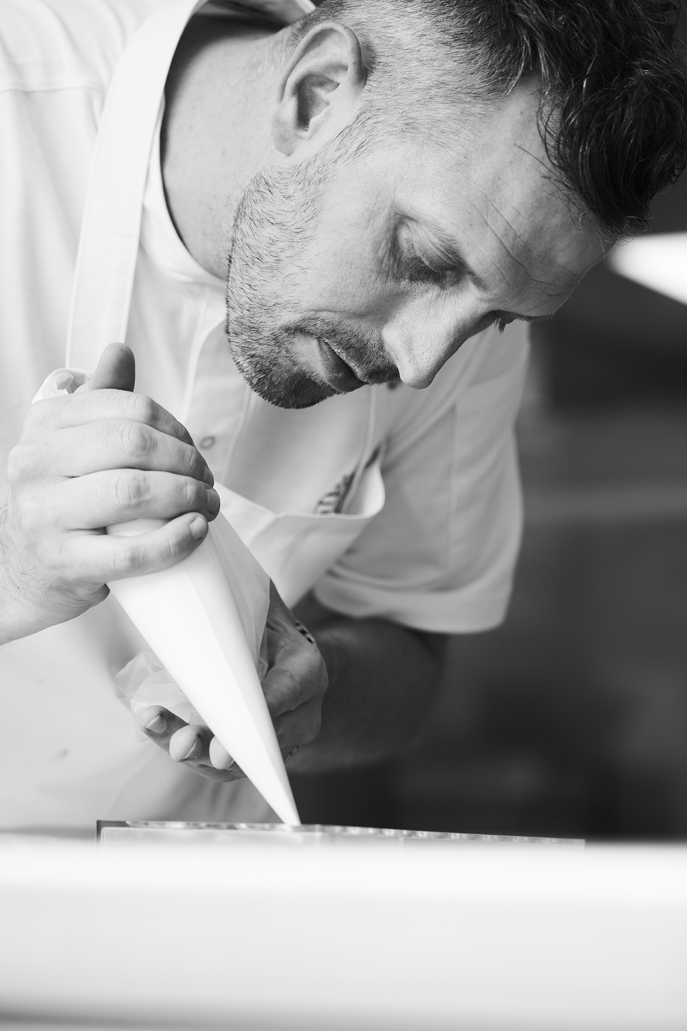 Frank Haasnoot Whip by Frank HAASNOOT - Hardcover - English Language