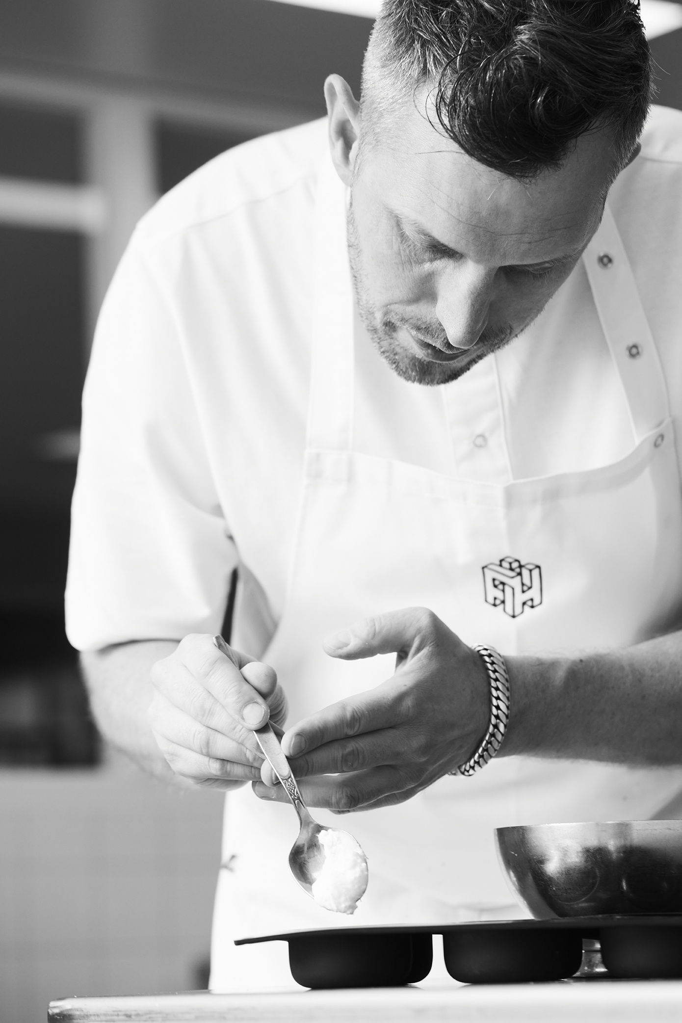 Frank Haasnoot Whip by Frank HAASNOOT - Hardcover - English Language