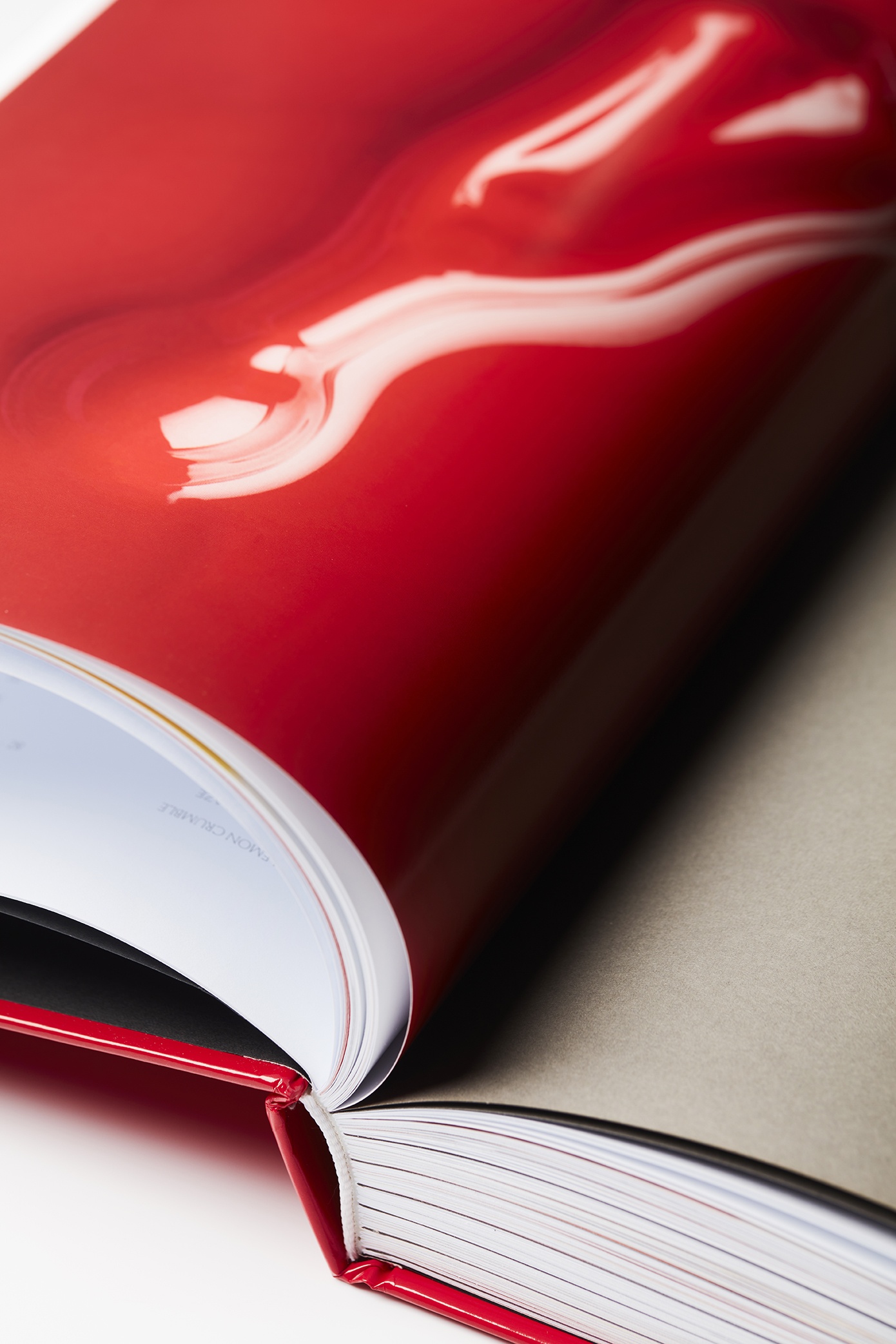 Frank Haasnoot Whip by Frank HAASNOOT - Hardcover - English Language