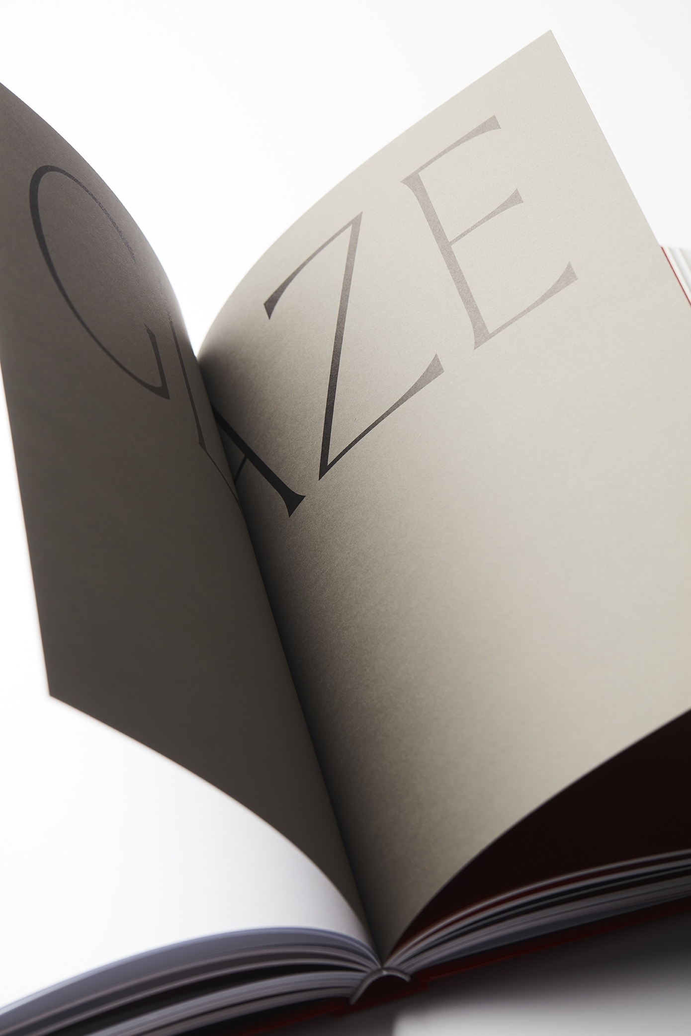 Frank Haasnoot Whip by Frank HAASNOOT - Hardcover - English Language