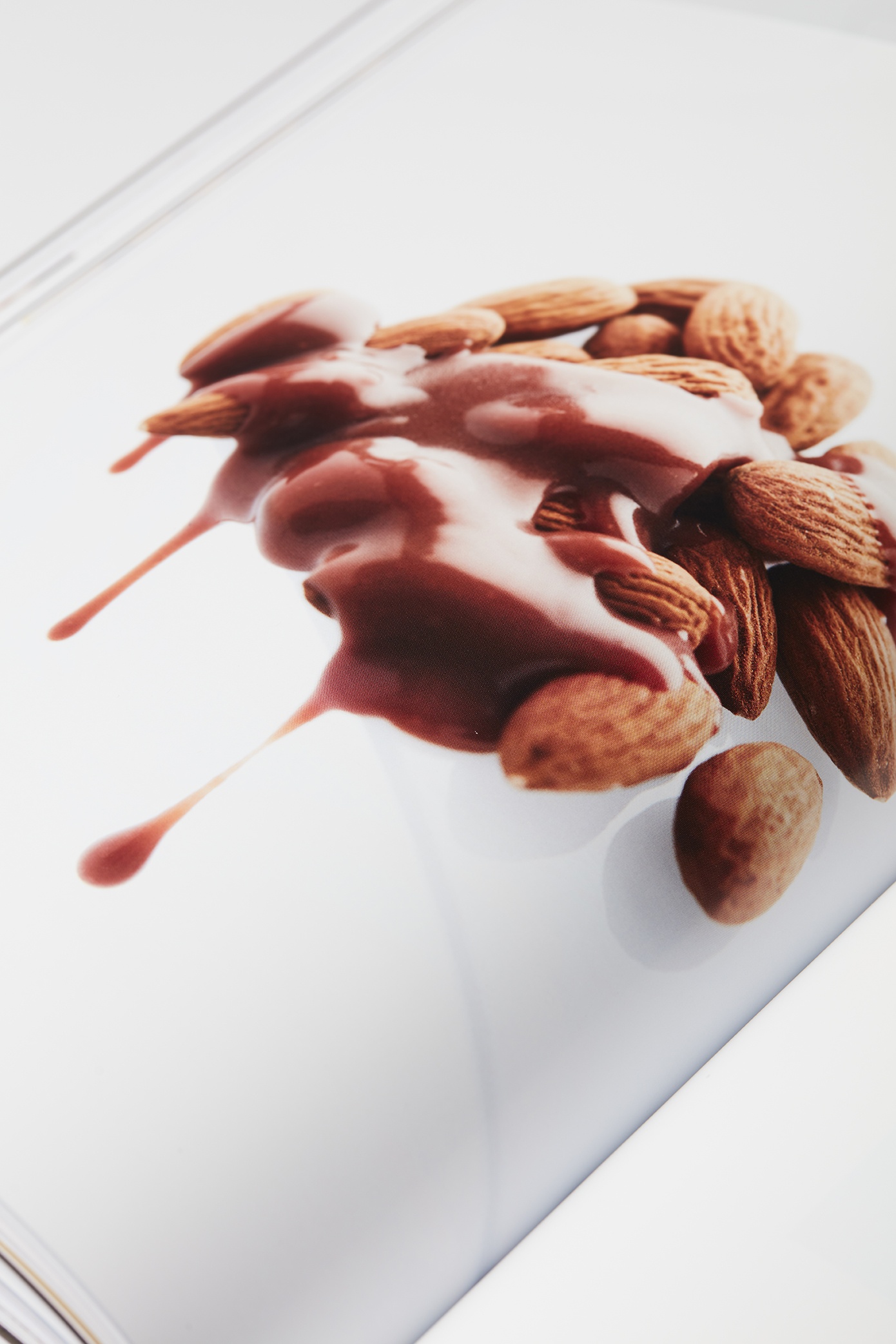 Frank Haasnoot Whip by Frank HAASNOOT - Hardcover - English Language