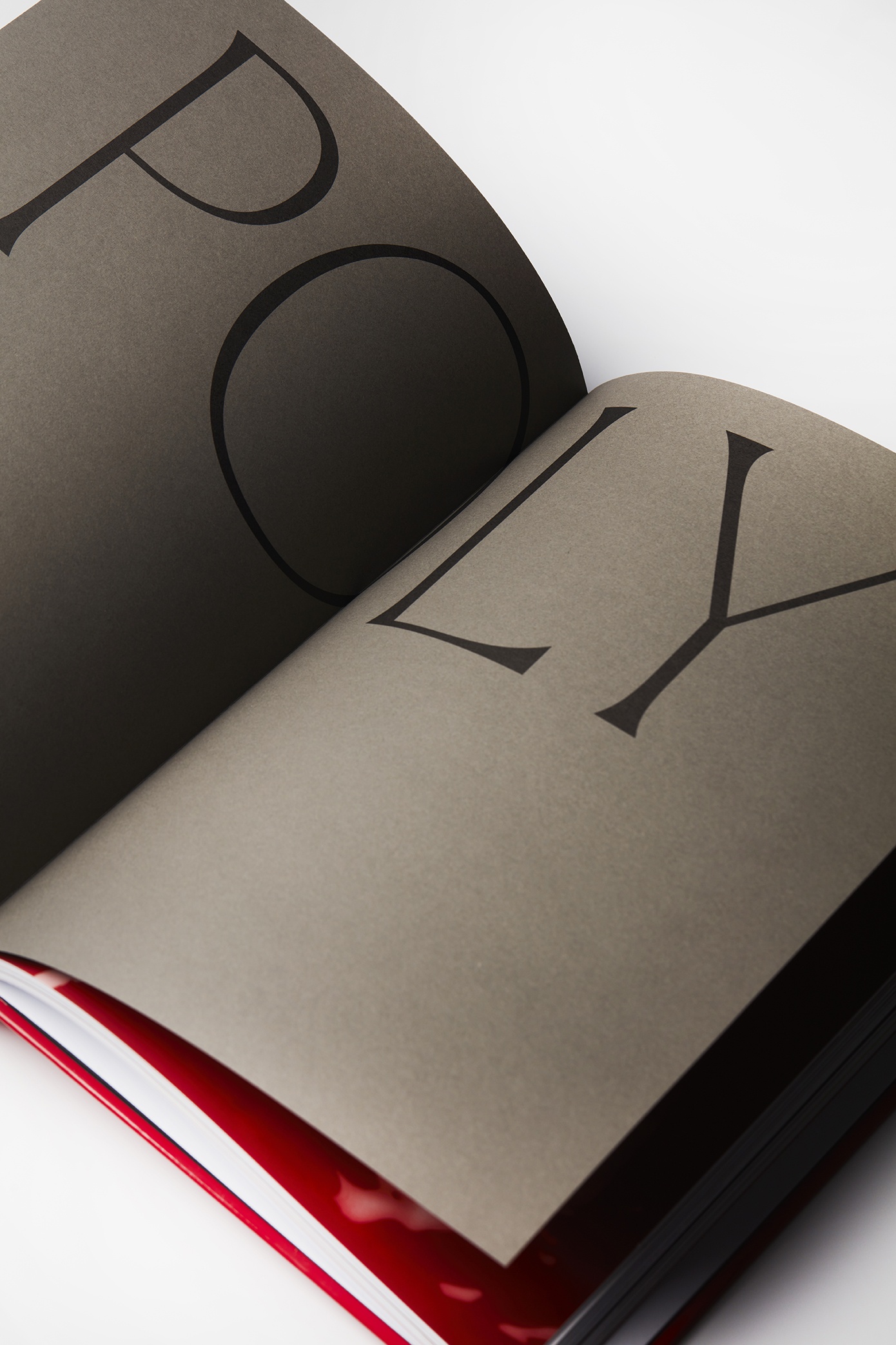 Frank Haasnoot Whip by Frank HAASNOOT - Hardcover - English Language