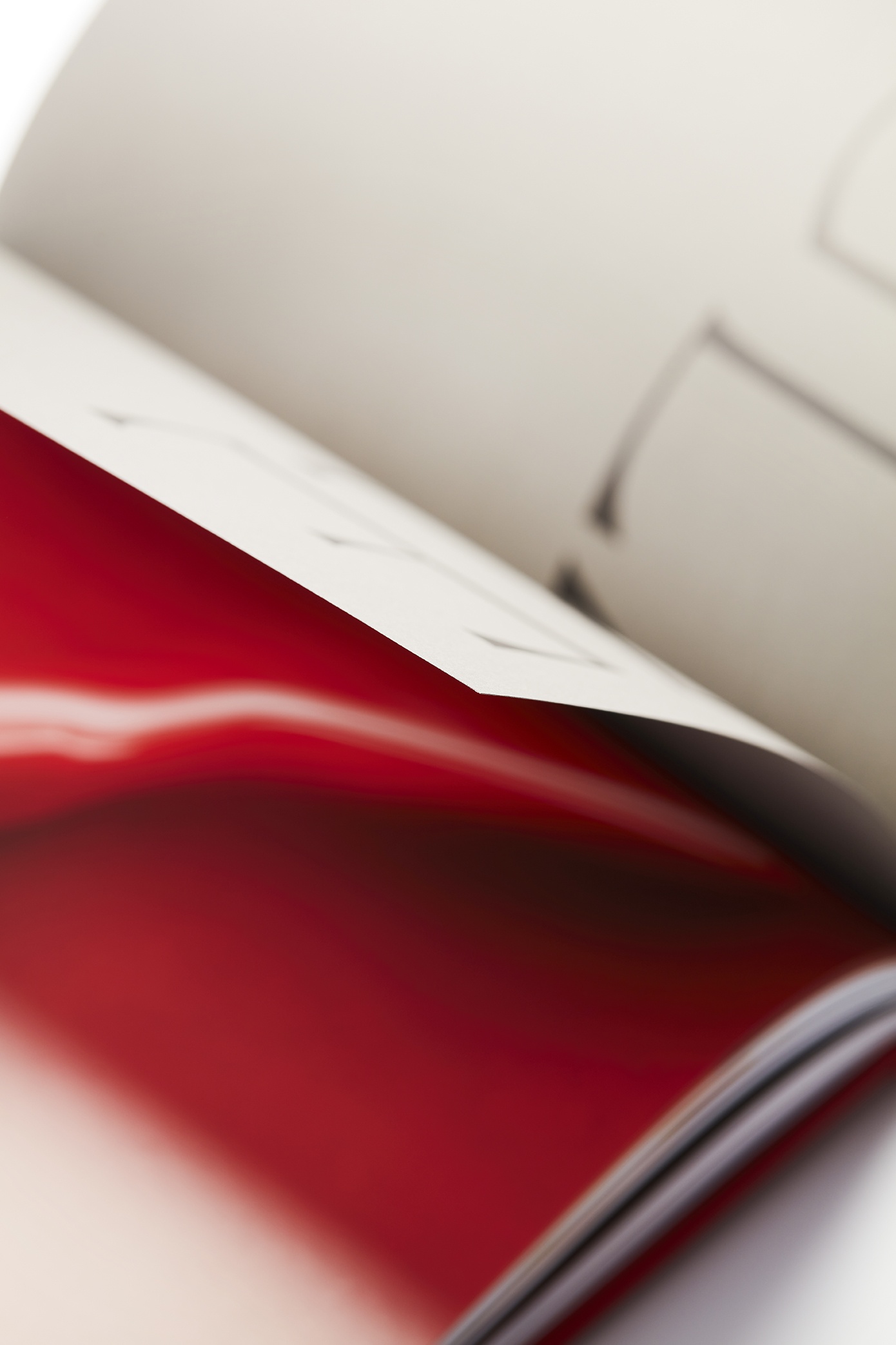 Frank Haasnoot Whip by Frank HAASNOOT - Hardcover - English Language