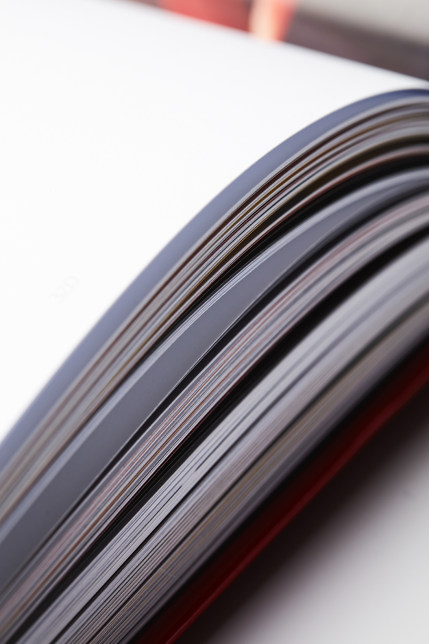 Frank Haasnoot Whip by Frank HAASNOOT - Hardcover - English Language