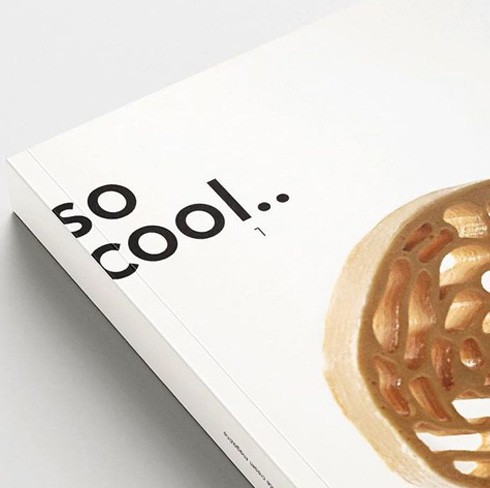 SO COOL 1 So Cool Magazine 1, The Magazine of Signature Ice Cream b...