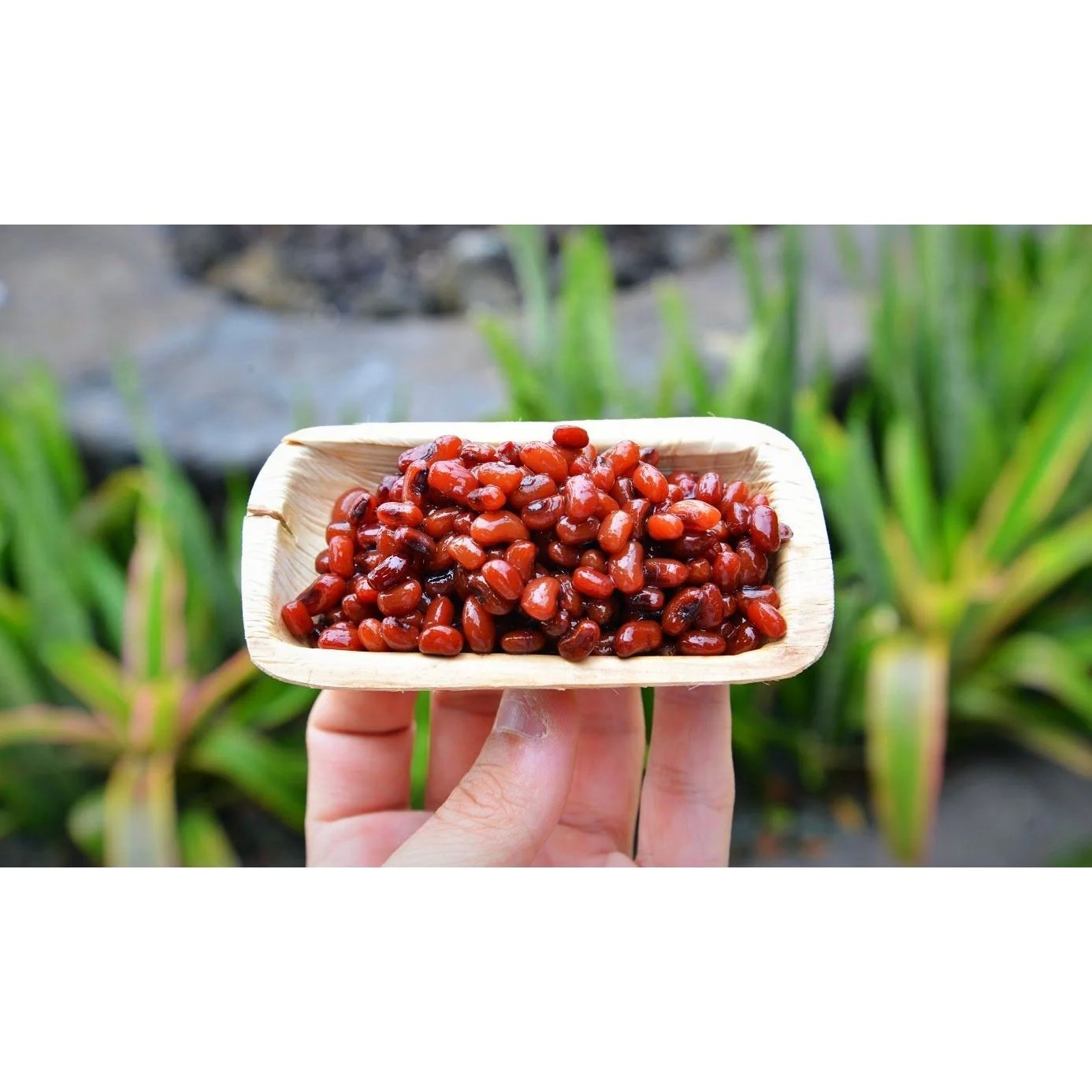 Pastry Chef's Boutique PCB-01-22-05B 2x4 Palm Leaf Rectangle Mini T...